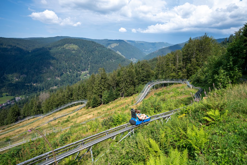 Family experiences – adventures for young and old - Feldberger Hof